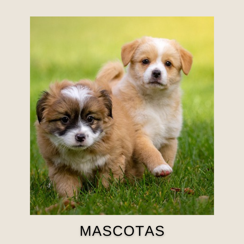 Kirogo Shop - Tu Centro Comercial online